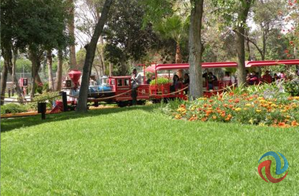 Invitan a la pista de hielo y a todas las actividades del Parque Morelos