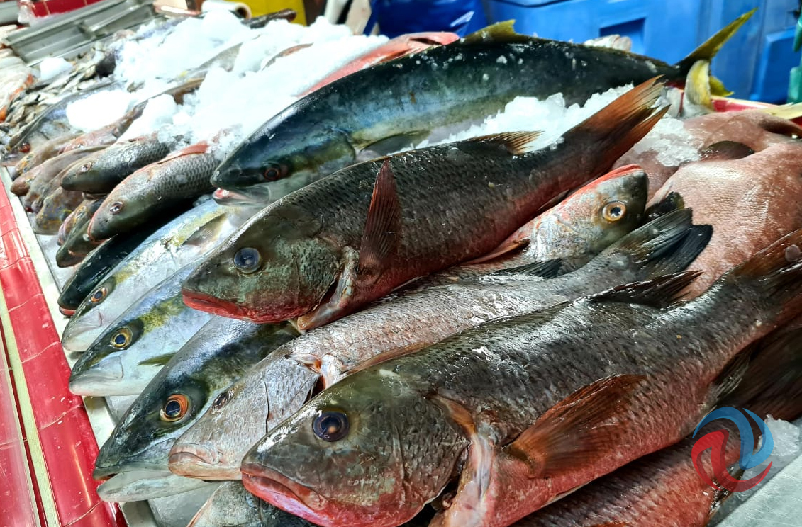 Recomiendan verificar el estado de pescados y mariscos en compras por ...