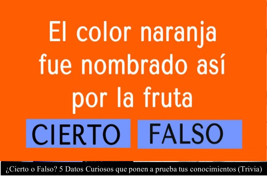 ¿Cierto o Falso? 5 Datos Curiosos que ponen a prueba tus conocimientos ...