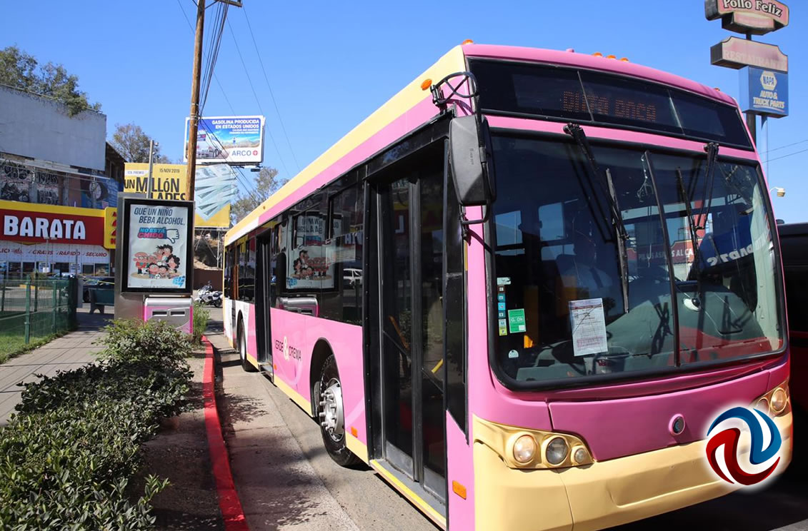 Línea Rosa trasladará a más de 25 mil mujeres