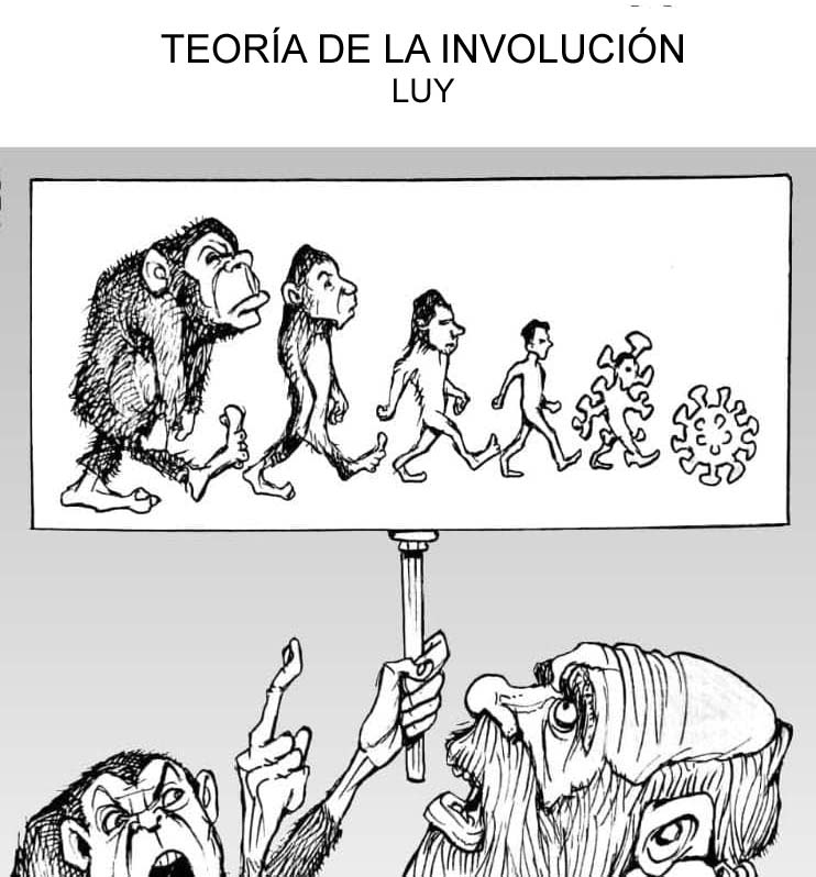 Teoría de la involución