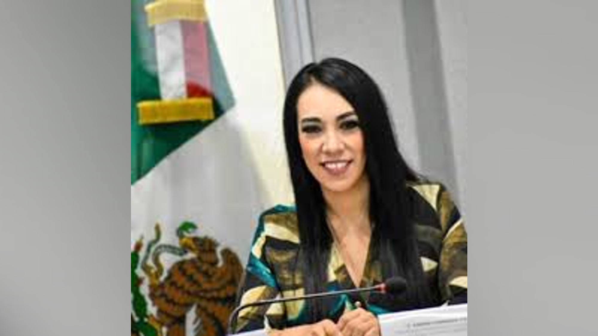 La ex Regidora Karina del Real renuncia al PAN