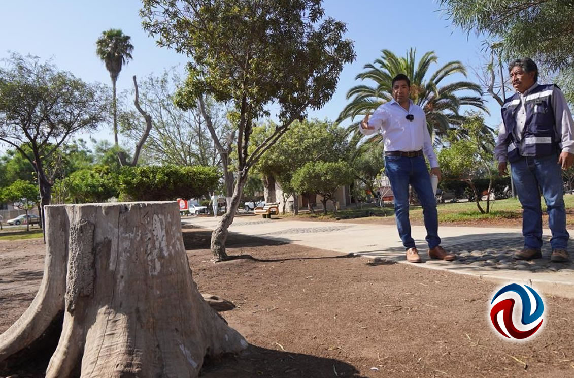 Remozarán el Parque Ignacio Zaragoza de Ensenada