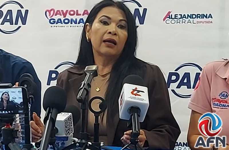 Diputados federales de Morena no atienden temas de BC, dice Corral